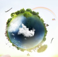 Healthy Ecosystems and The Philosophical Investor