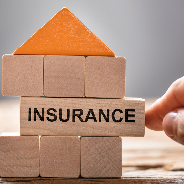 Insurance and Questionable Models Managing Risk