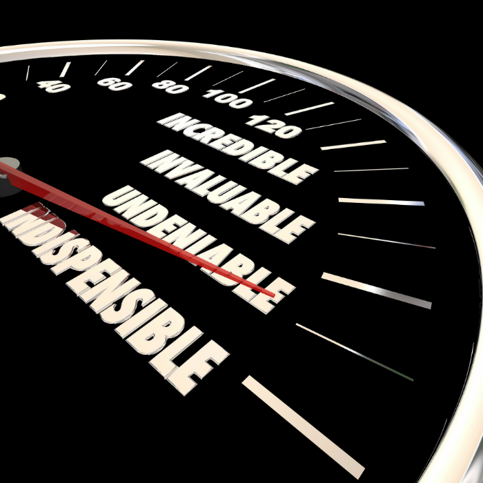 Being Indispensable and Lessons From Liam Neeson