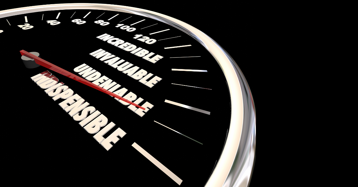 Being Indispensable and Lessons From Liam Neeson