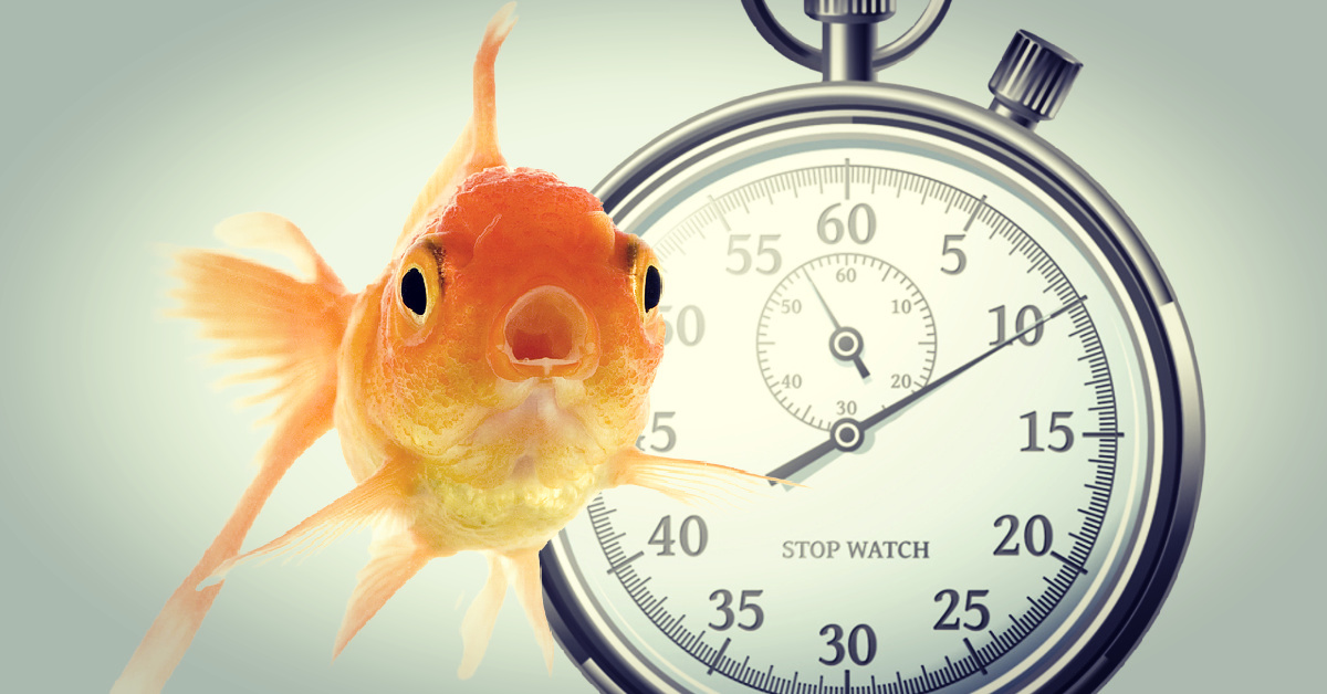 The 10 Second Challenge