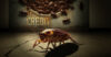 The Cockroach Theory Is Now Live